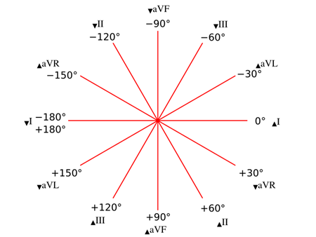 Medicine Decoded: Ecg leads